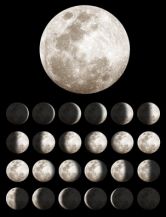 Les phases lunaires expliquées par votre calendrier Very Utile